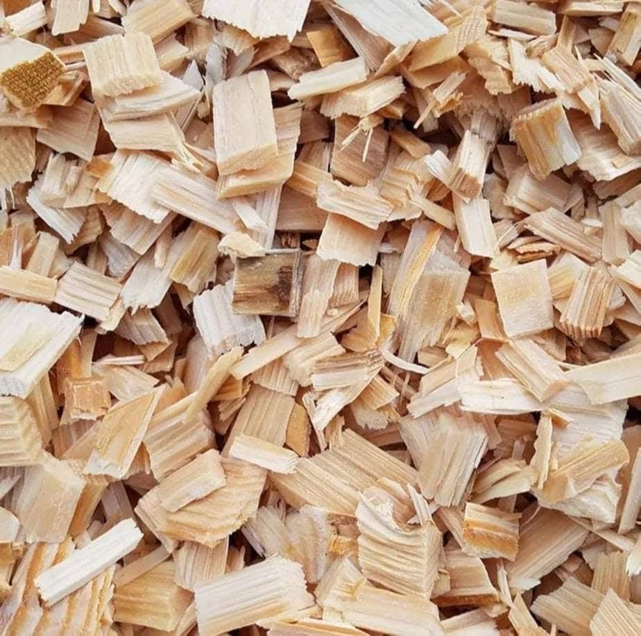 Pine Wood Chips - Nettree Market
