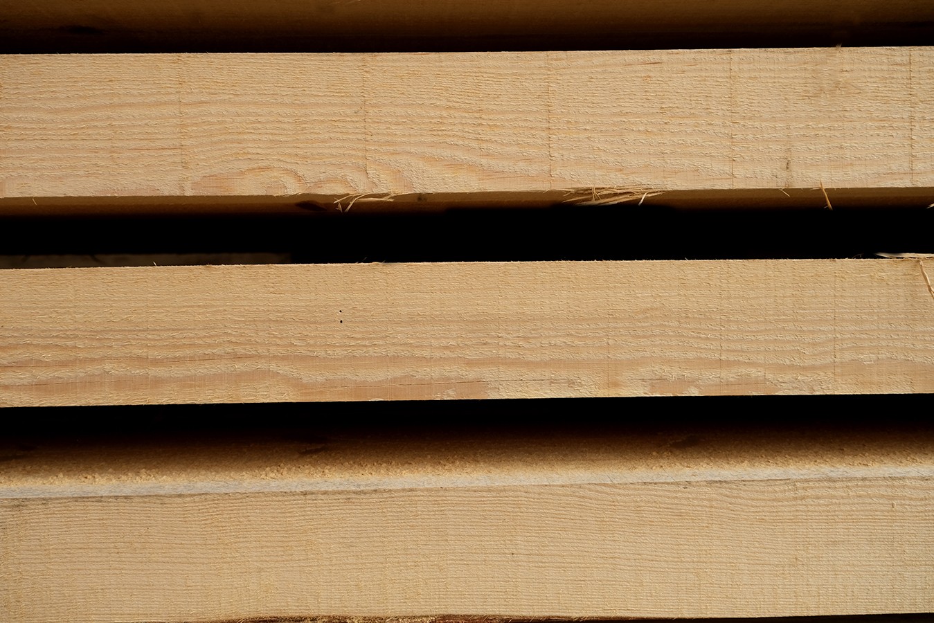 1st. Grade (A) Pine Softwood Timber - Nettree Market